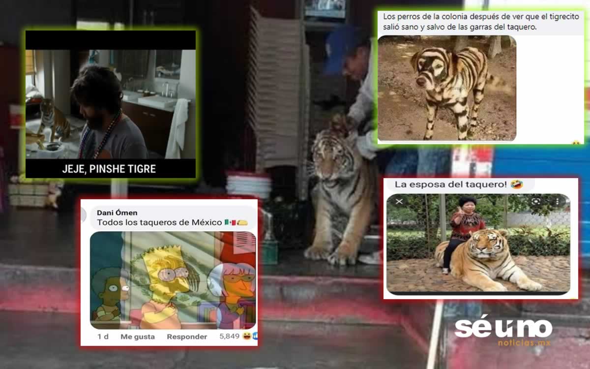 Se Difunde Fotografía De Tigre De Bengala En Una Taquería éstos Son