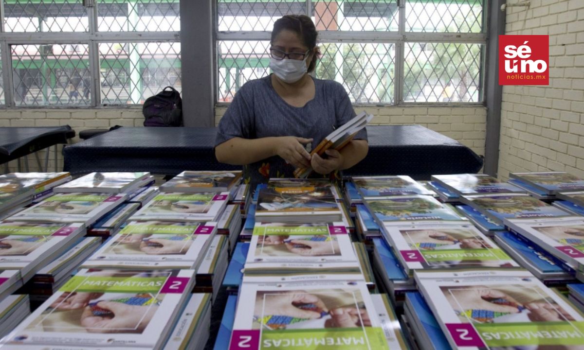 Fallas en libros de texto de matemáticas: Expertos exigen revisión ...