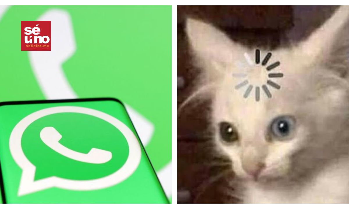 Risas en tiempos de crisis: Los mejores memes de WhatsApp tras su falla ...