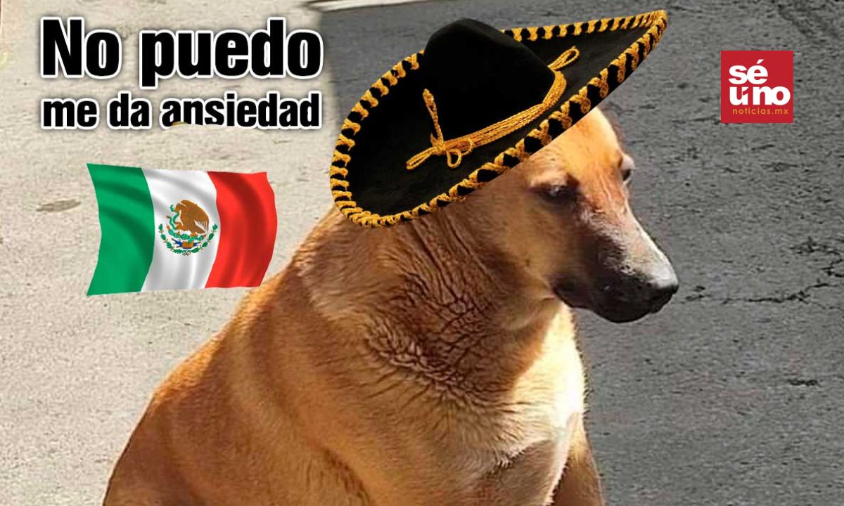 Risas y Creatividad en Línea: El Impacto del 'Cheems Mexicano' y su Ola ...