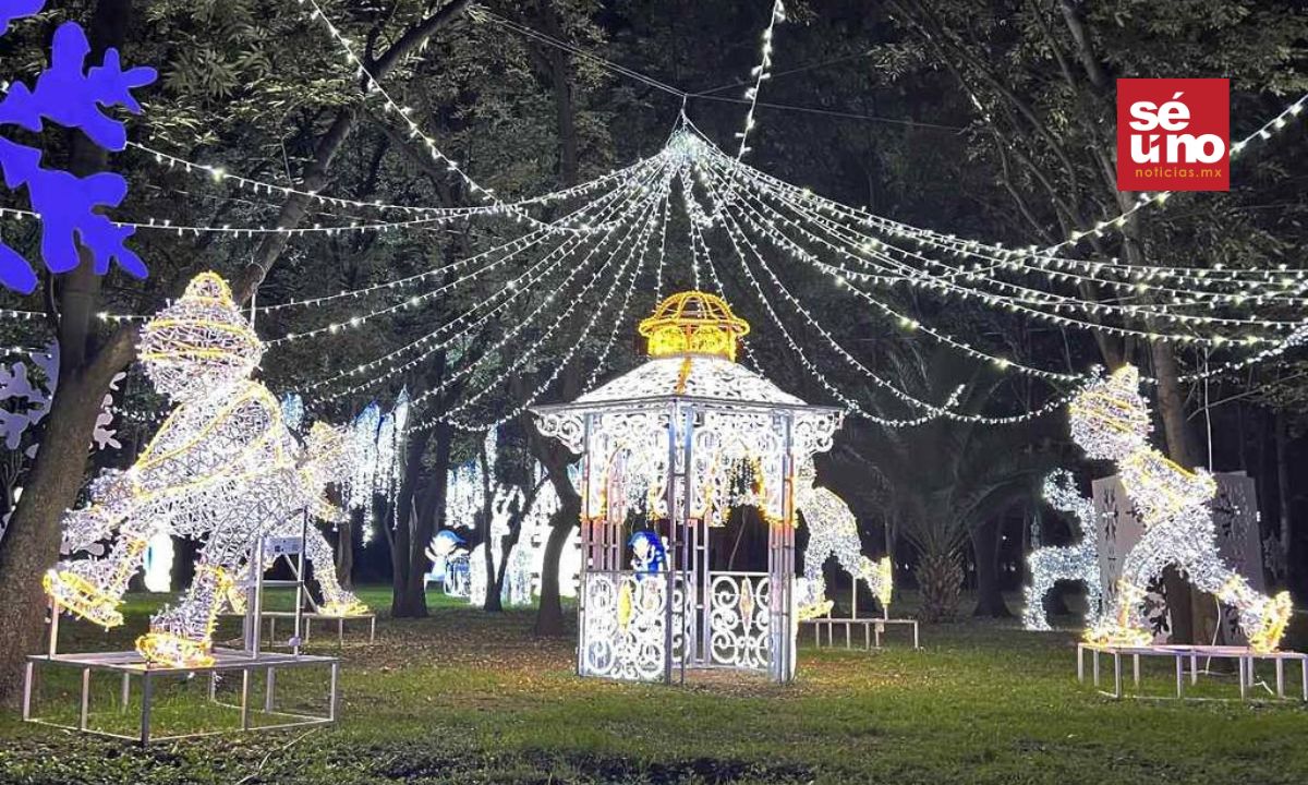 Bosque de Chapultepec: Un Rincón Mágico para Celebrar la Navidad