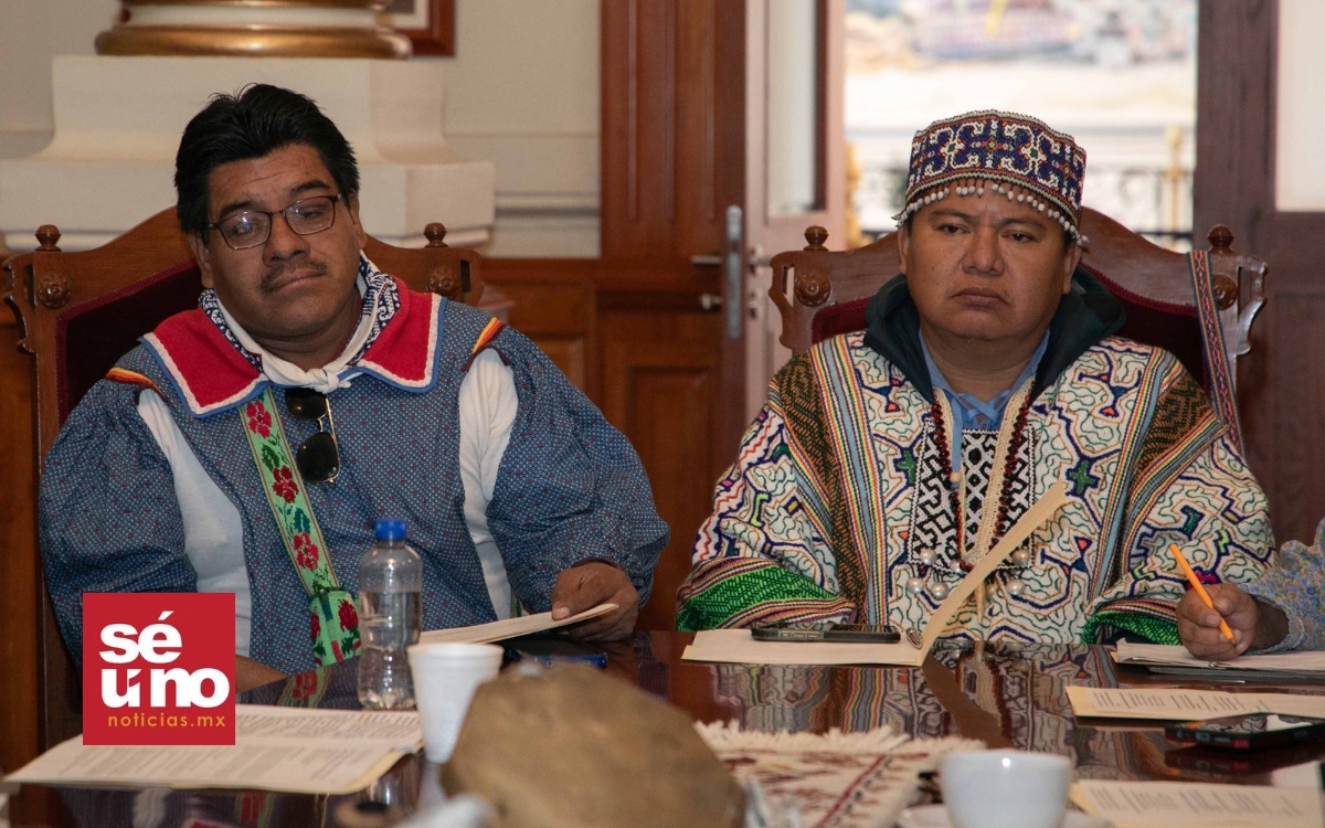 Pueblos indígenas: Mesa de Trabajo del PJEM impulsa biocultura y ...