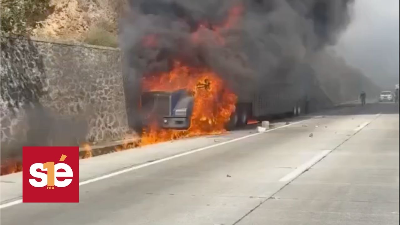 ¿Qué pasó en el Arco Norte? Tráiler con ganado se incendia y mueren ...